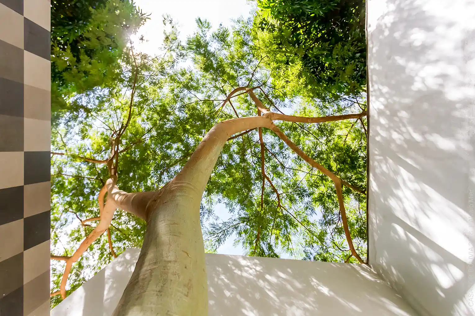 CASACOR Bolívia 2018: arquitetura e natureza conectadas em 35 ambientes