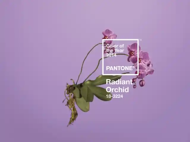 Viva Magenta é eleita a cor do ano 2023 pela Pantone