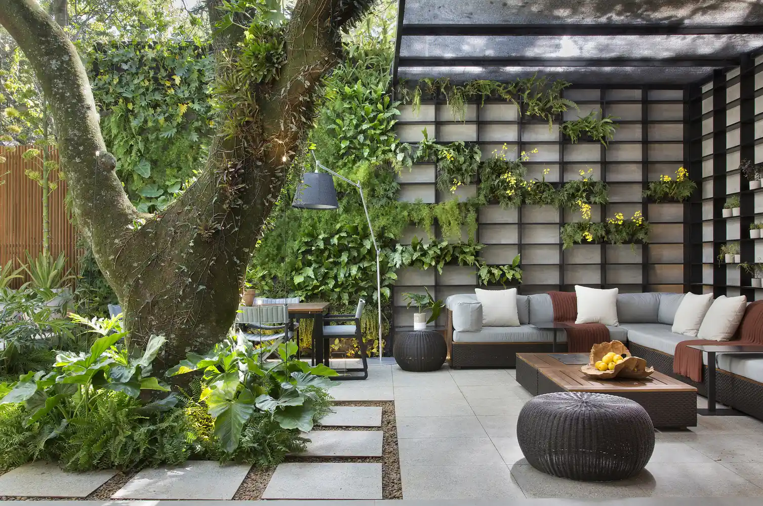 10 espécies de árvores para um jardim mais robusto