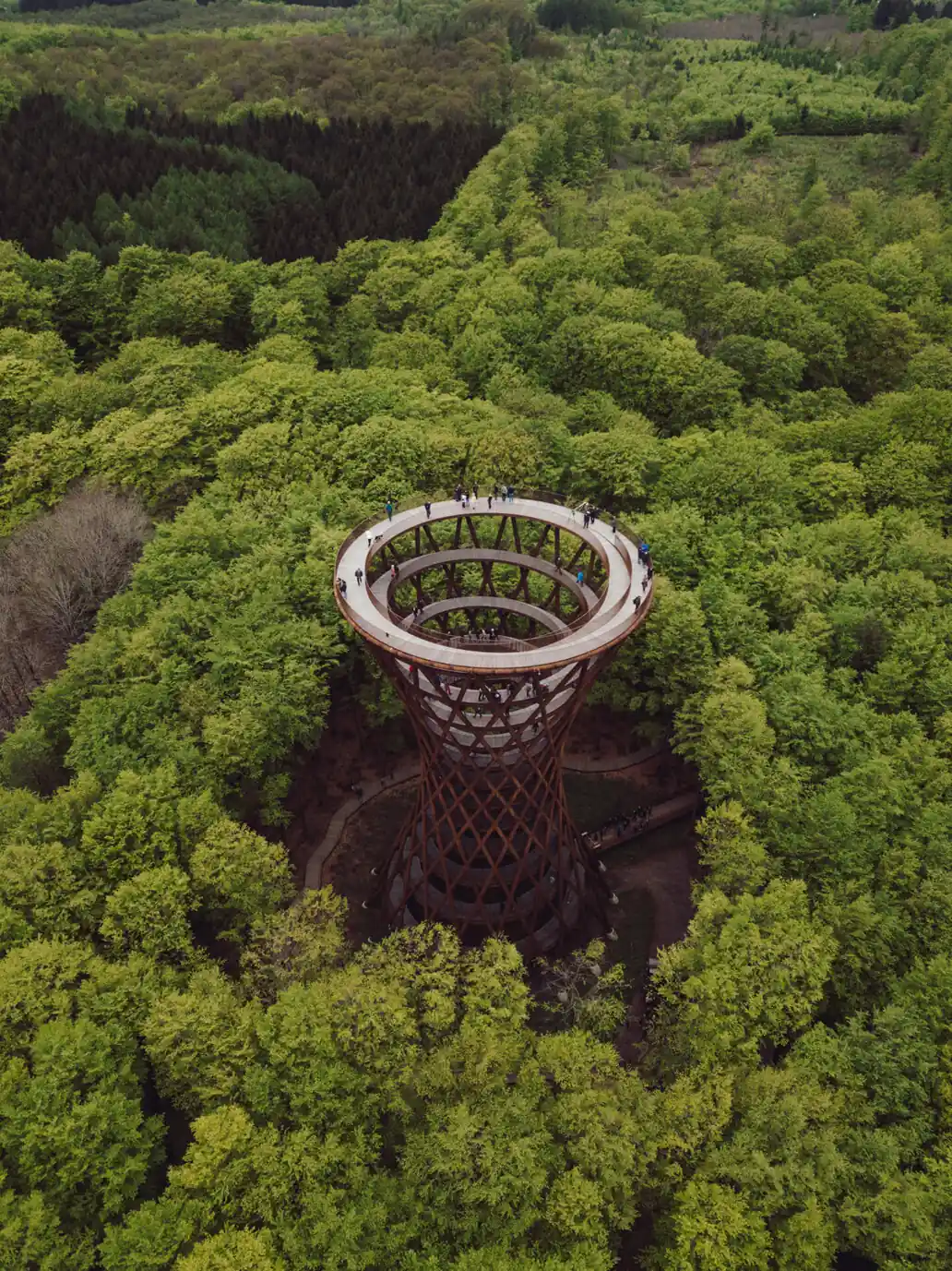 Forest Tower oferece novas vistas da natureza a 45 metros do solo