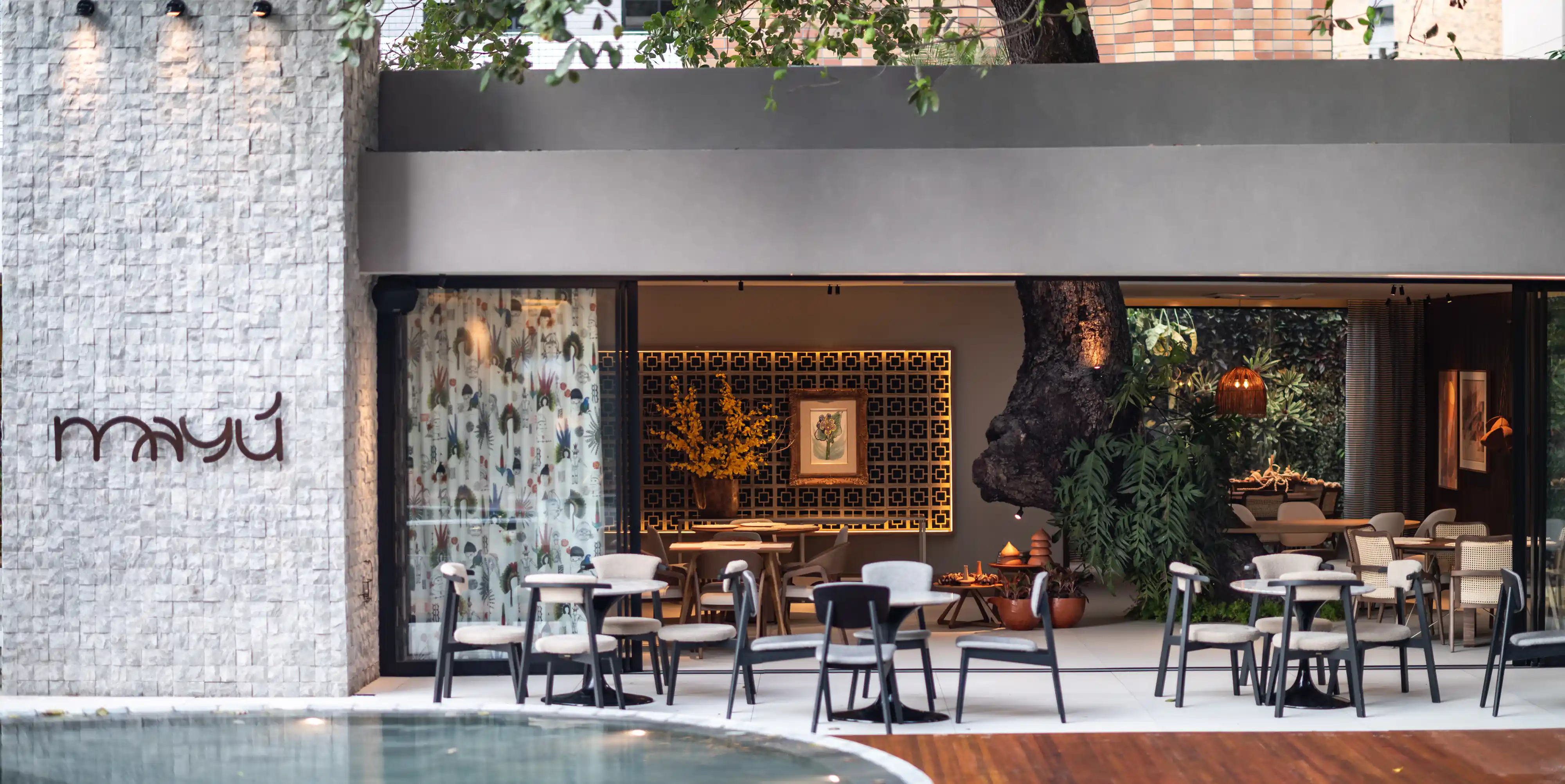 Grande árvore foi incorporada ao décor do Restaurante MAYU, na CASACOR CE