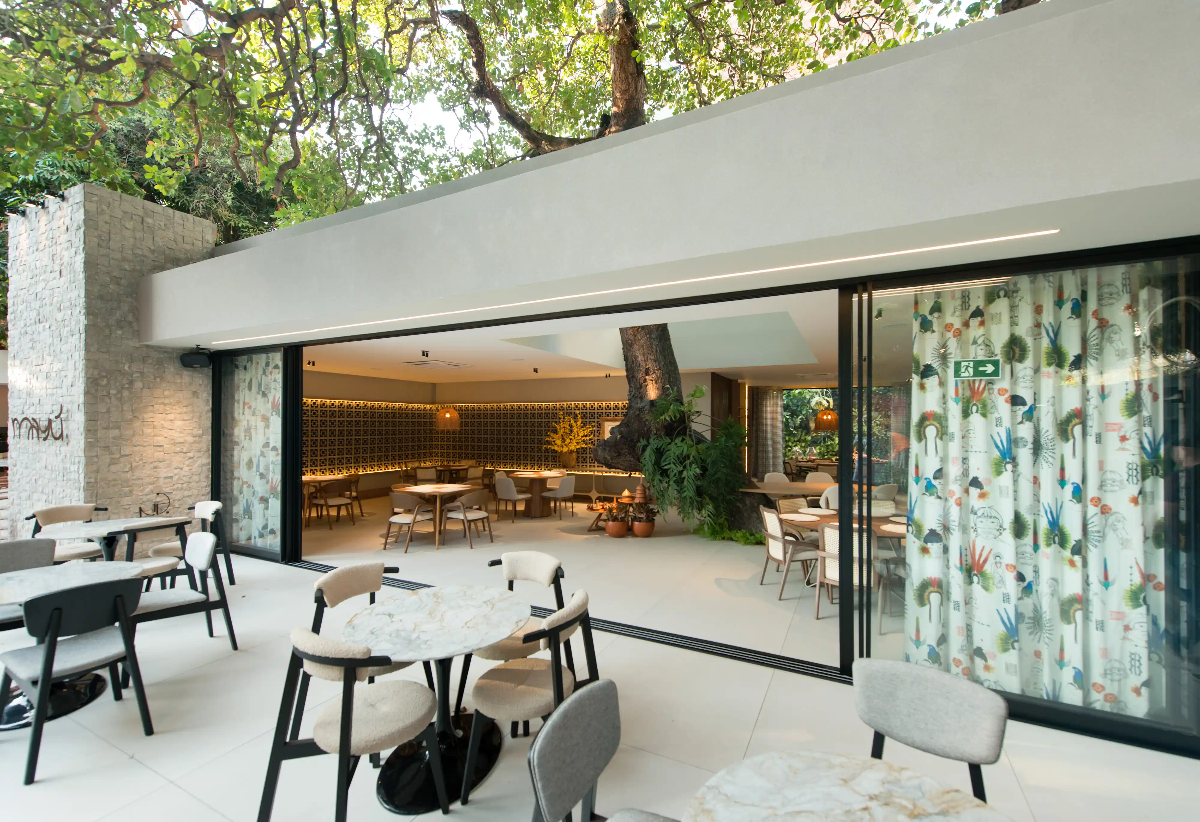 Grande árvore foi incorporada ao décor do Restaurante MAYU, na CASACOR CE
