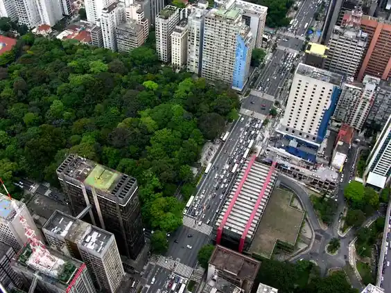 Além do Ibirapuera: 10 parques e jardins para conhecer em SP