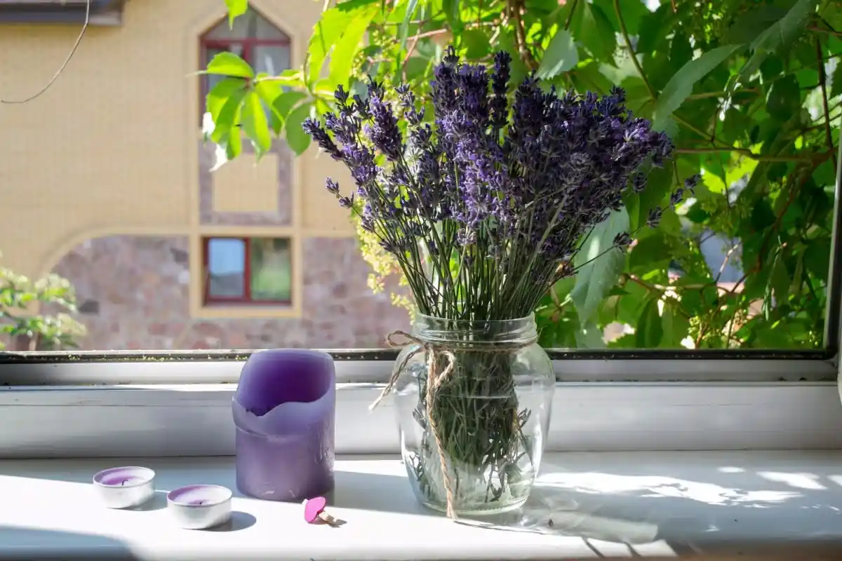 5 em 1! Confira diferentes aplicações da lavanda para o lar